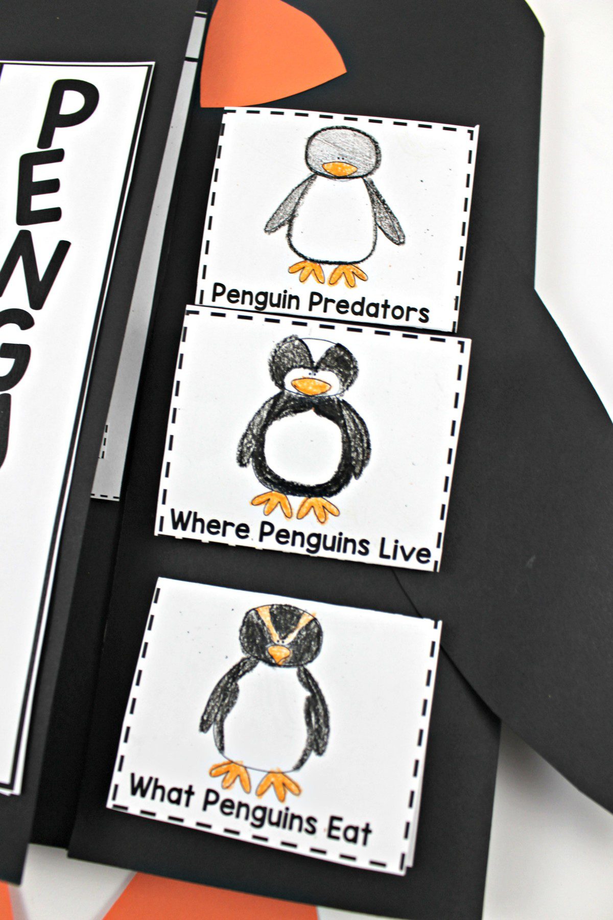 Penguin Interactive Science - Tunstall's Teaching