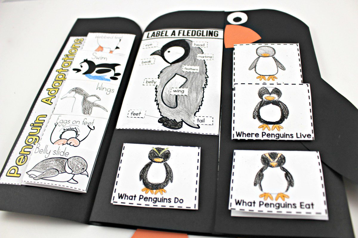 Penguin Interactive Science - Tunstall's Teaching