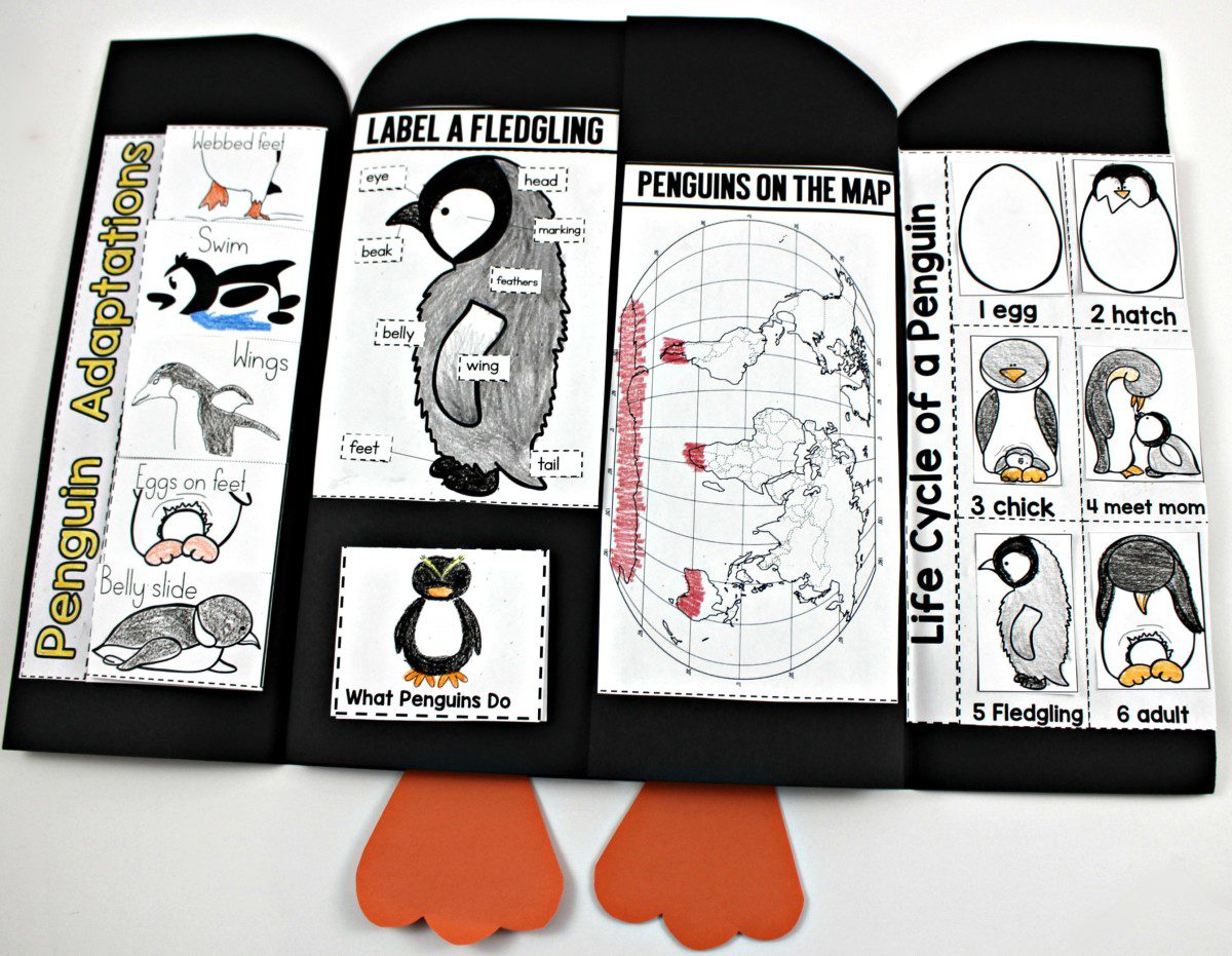 Penguin Interactive Science - Tunstall's Teaching