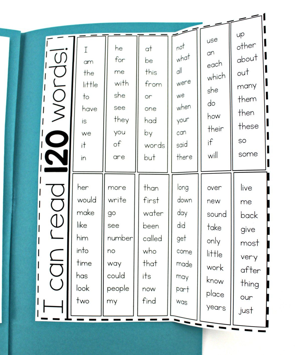 Celebrating the 100th Day (or 120th) - Tunstall's Teaching