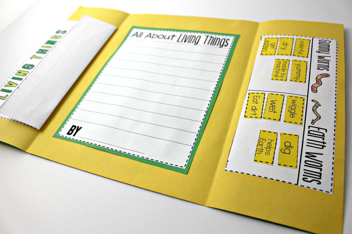 Activities to Teach Living Things - Tunstall's Teaching