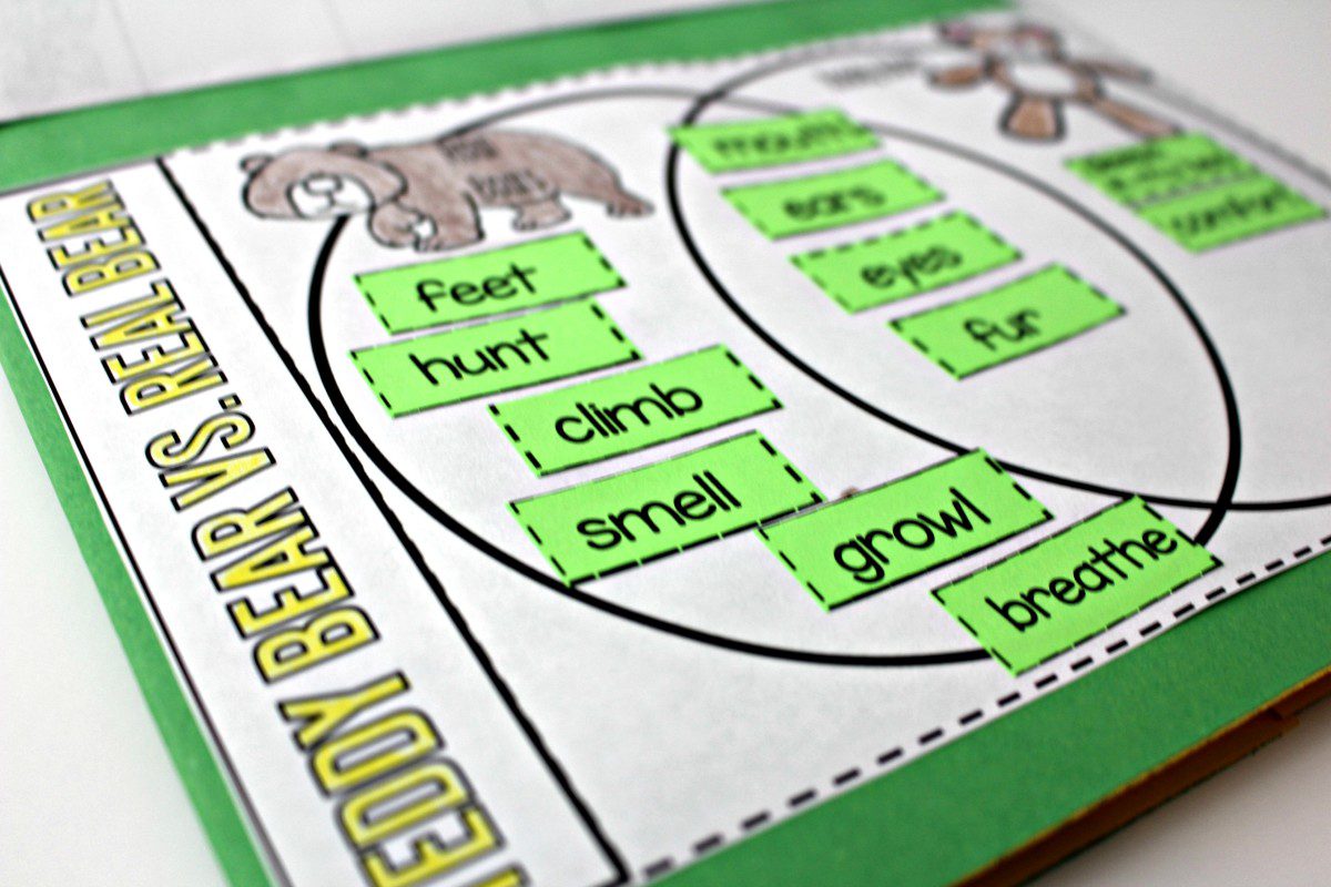 Activities to Teach Living Things - Tunstall's Teaching