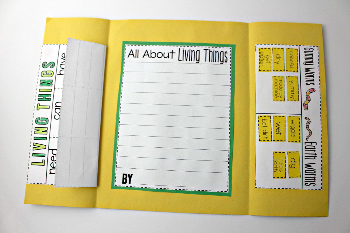 Activities to Teach Living Things - Tunstall's Teaching