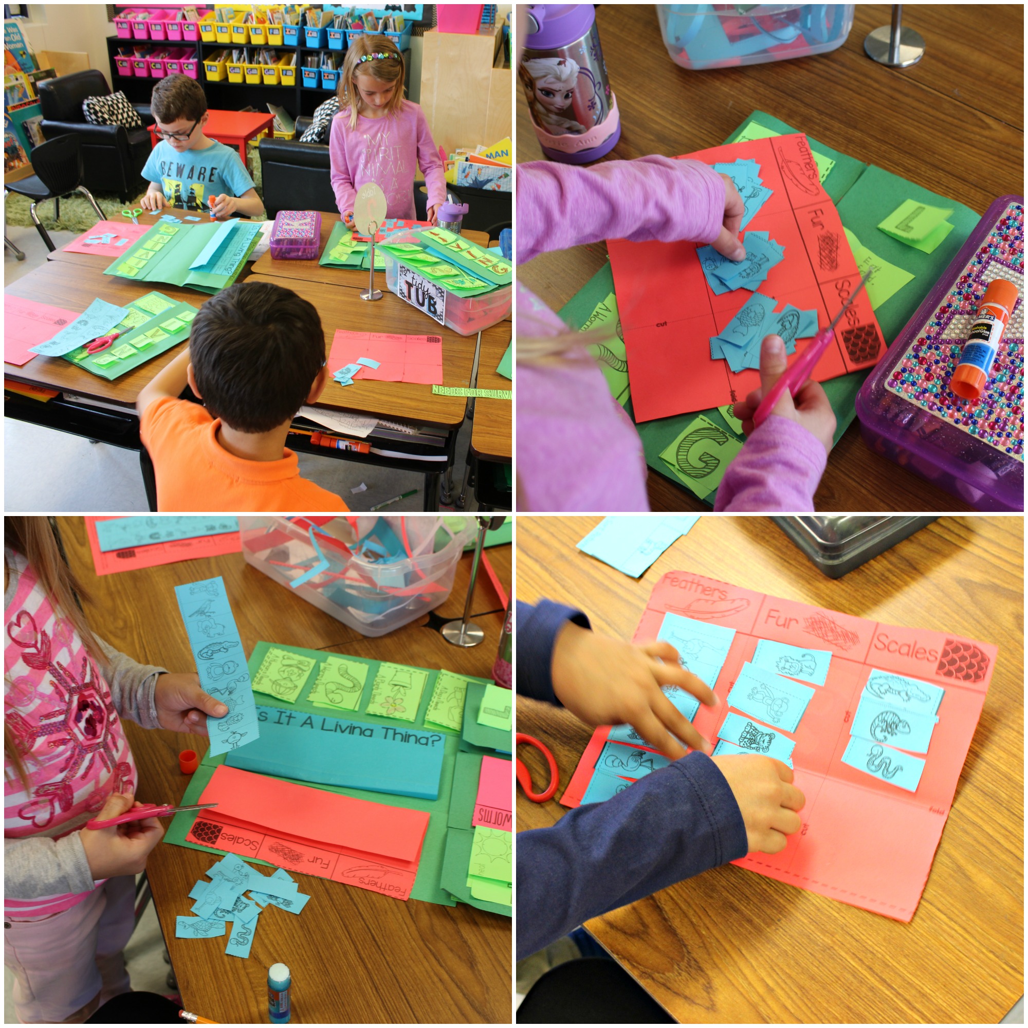 Activities to Teach Living Things - Tunstall's Teaching