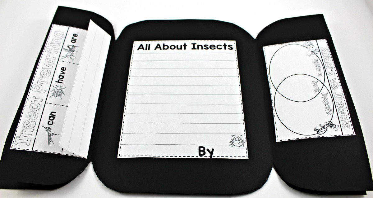 Insect Science Activities - Tunstall's Teaching