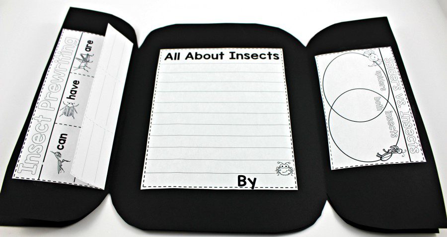 Insect Science Activities - Tunstall's Teaching