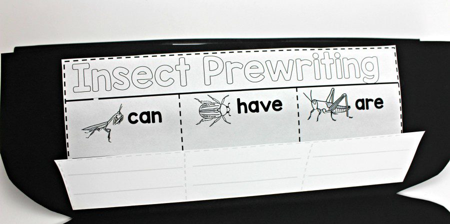 Insect Science Activities - Tunstall's Teaching