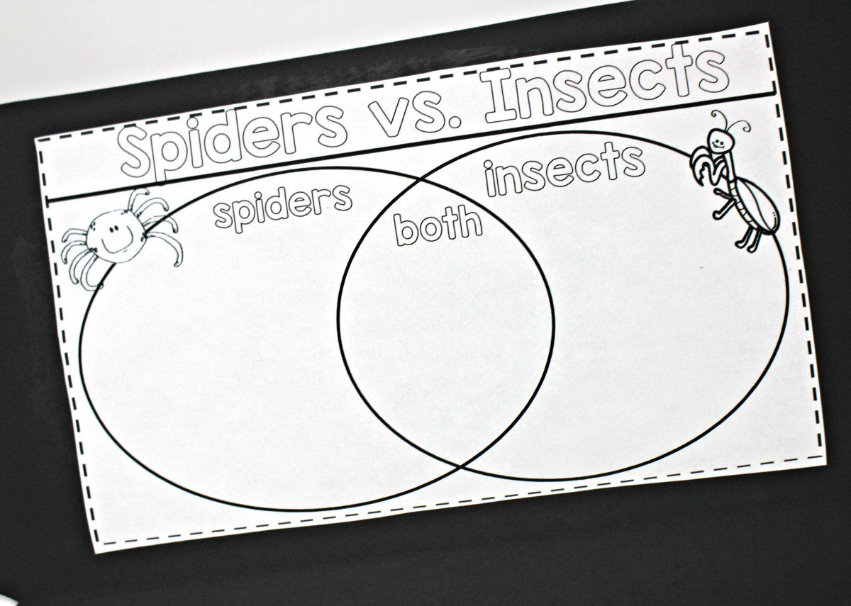 Insect Science Activities - Tunstall's Teaching