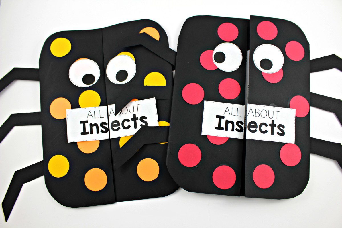 Insect Science Activities - Tunstall's Teaching