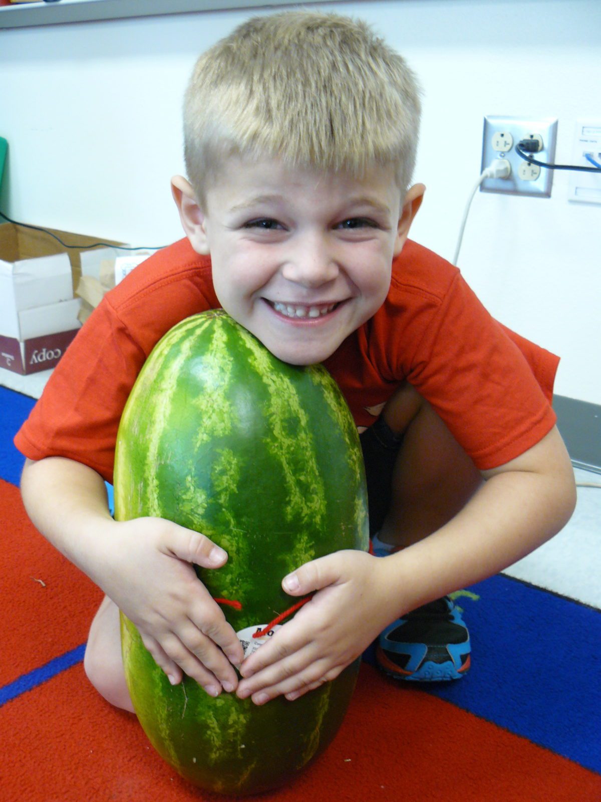 Watermelon Science - Tunstall's Teaching