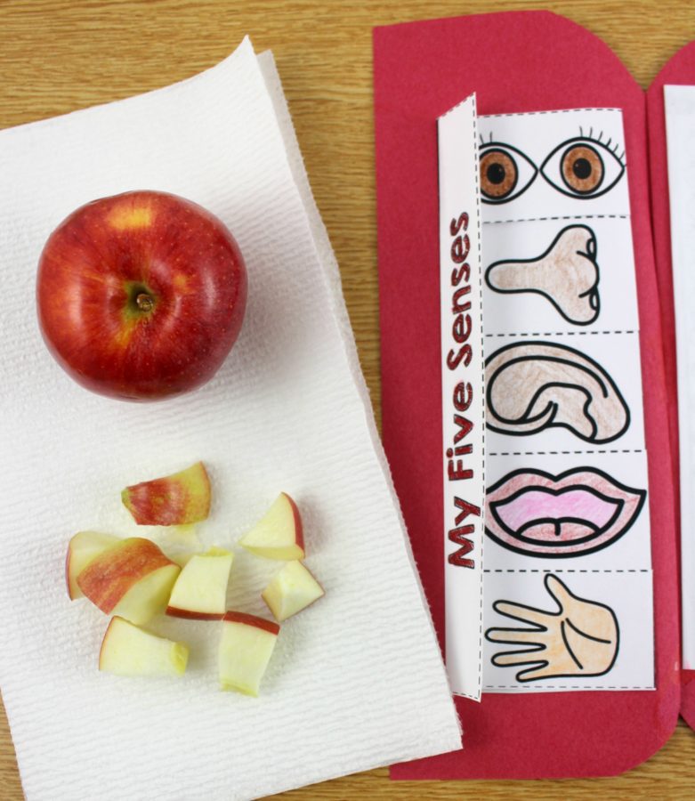 Apple Science - Tunstall's Teaching