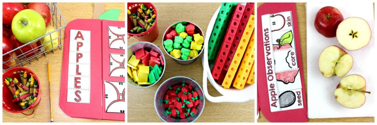 Apple Science - Tunstall's Teaching