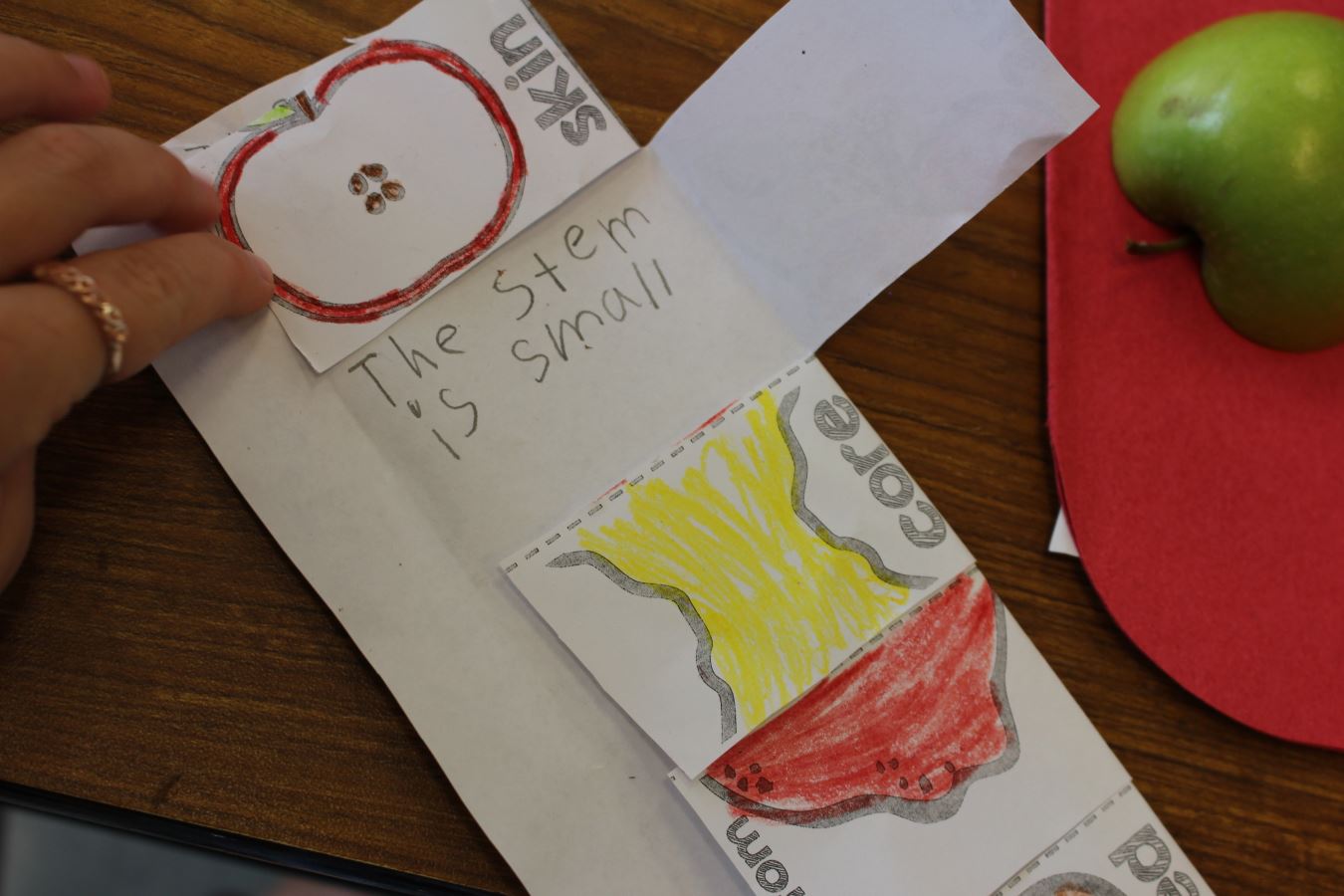 Apple Science - Tunstall's Teaching