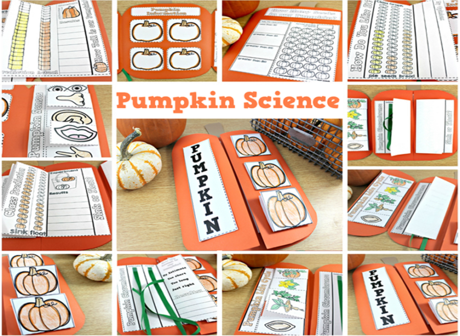 Teaching in October - Tunstall's Teaching