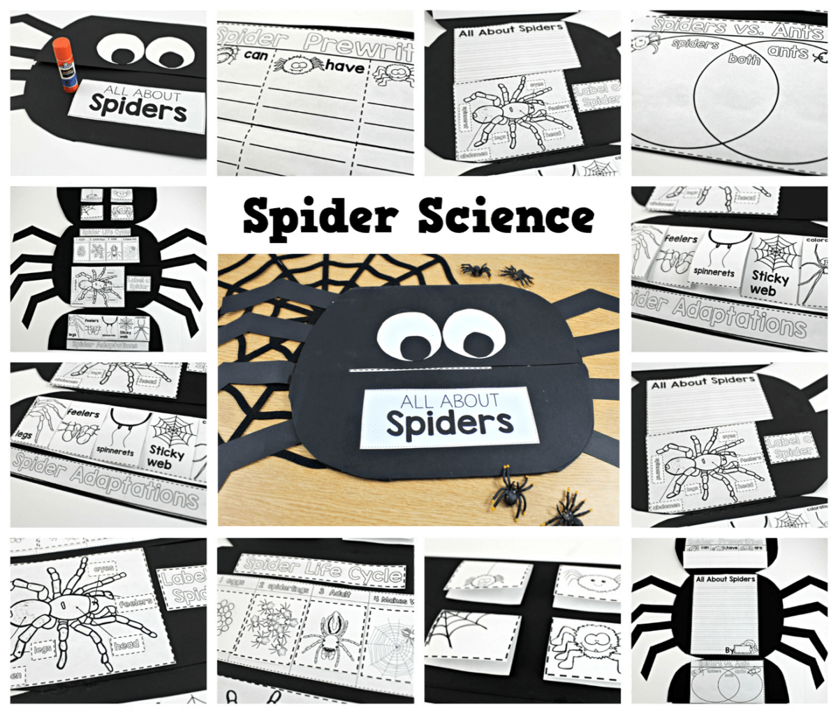 Teaching in October - Tunstall's Teaching