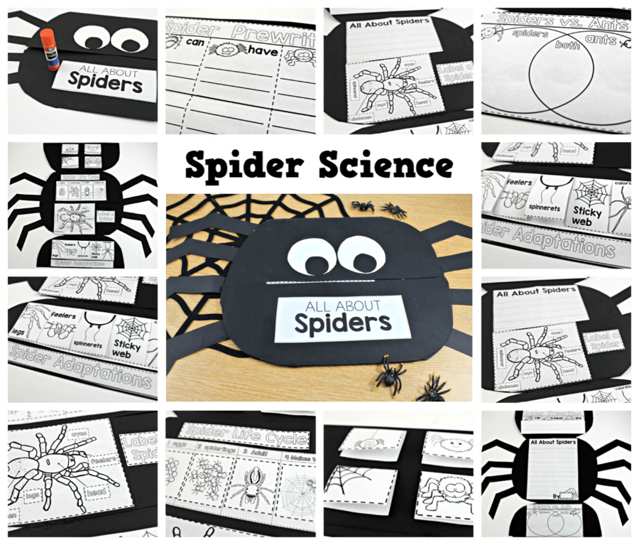 Teaching in October - Tunstall's Teaching