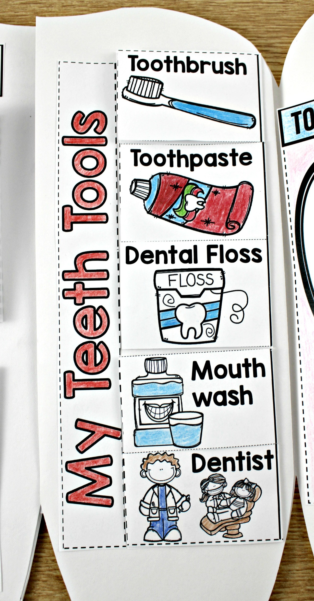 Dental Health Tooth Book - Tunstall's Teaching