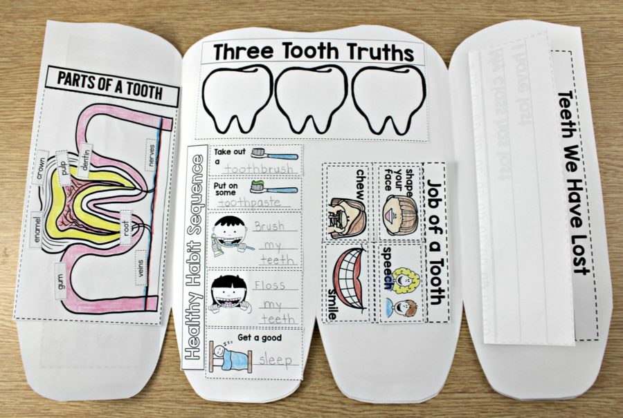 Dental Health Tooth Book - Tunstall's Teaching