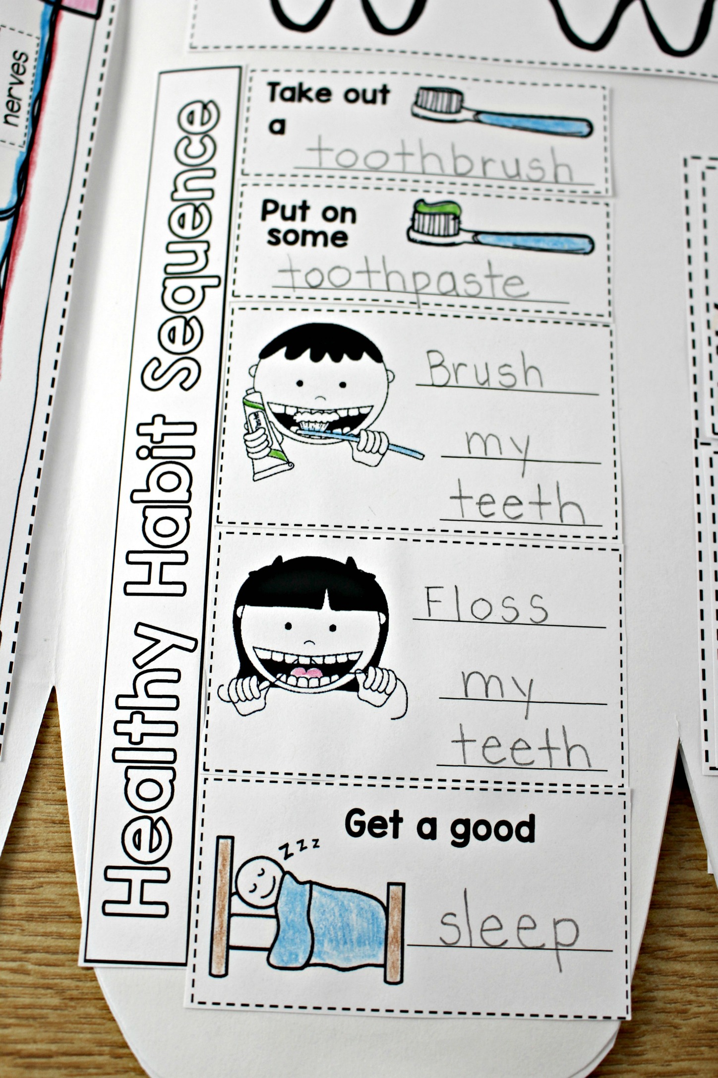 Dental Health Tooth Book - Tunstall's Teaching