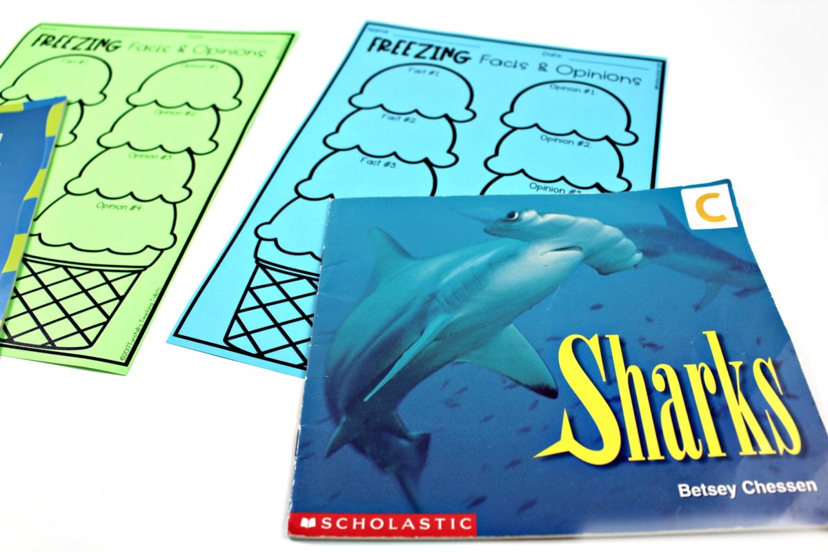 Fact and Opinion Freebie with Astrobrights - Tunstall's Teaching