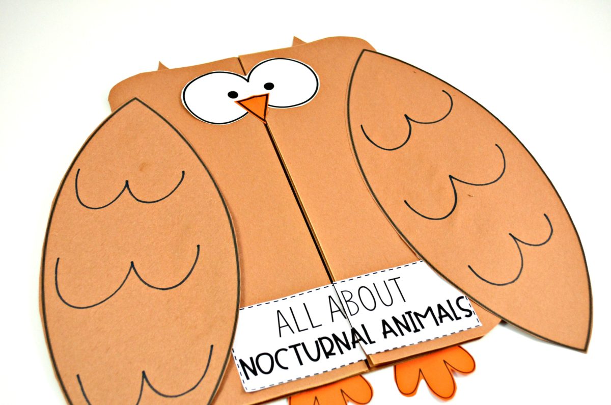 Owls and Other Nocturnal Animals - Tunstall's Teaching