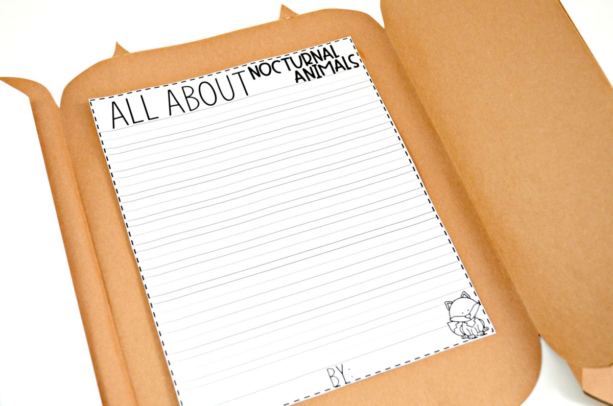 Owls and Other Nocturnal Animals - Tunstall's Teaching