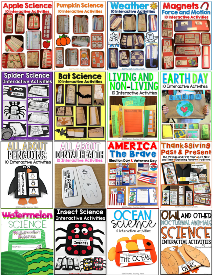 Owls and Other Nocturnal Animals - Tunstall's Teaching