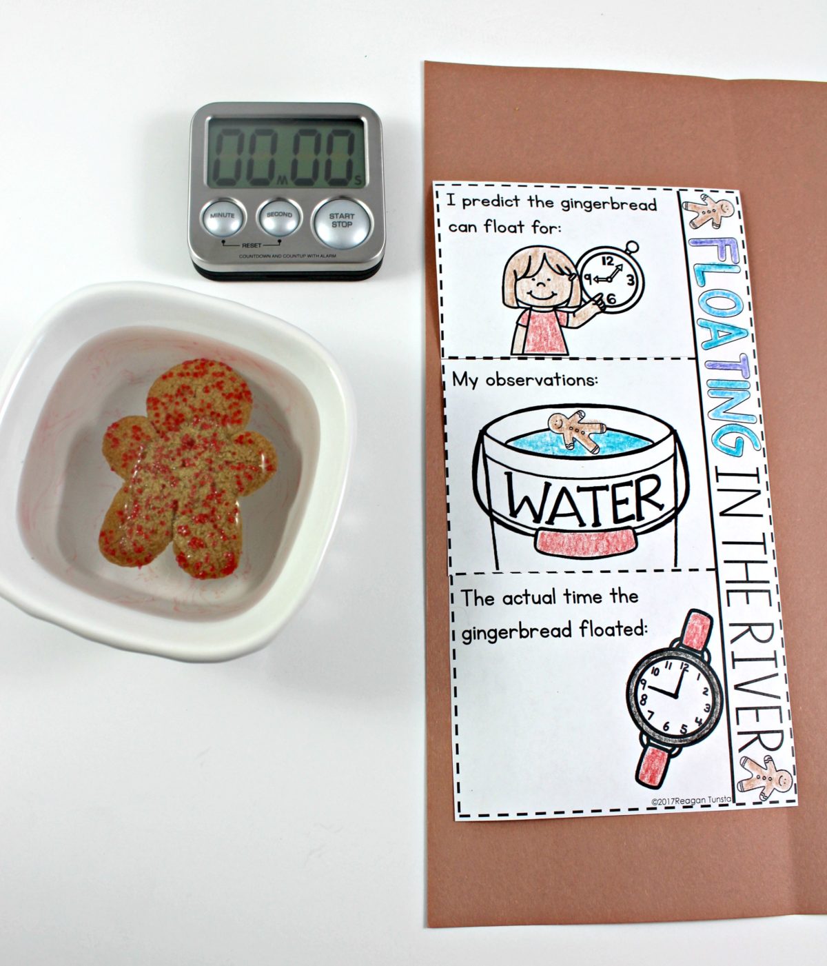 Gingerbread Science - Tunstall's Teaching