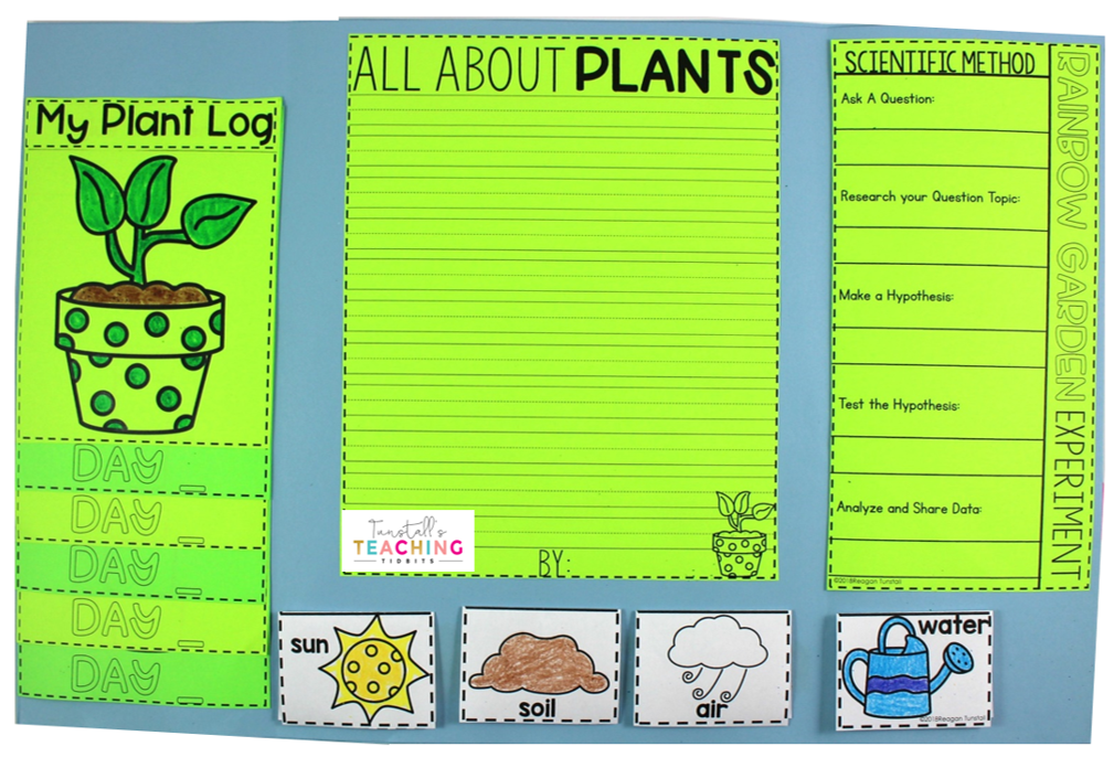 Interactive Plant Science - Tunstall's Teaching