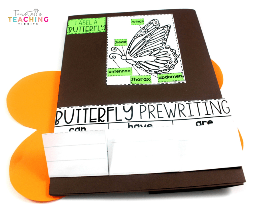 Interactive Butterfly Science - Tunstall's Teaching