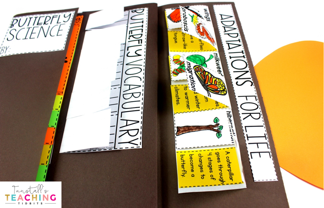 Interactive Butterfly Science - Tunstall's Teaching