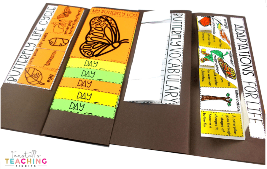 Interactive Butterfly Science - Tunstall's Teaching