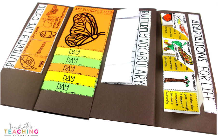 Interactive Butterfly Science - Tunstall's Teaching