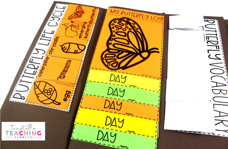 Interactive Butterfly Science - Tunstall's Teaching