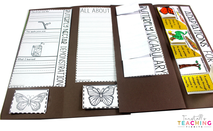 Interactive Butterfly Science - Tunstall's Teaching