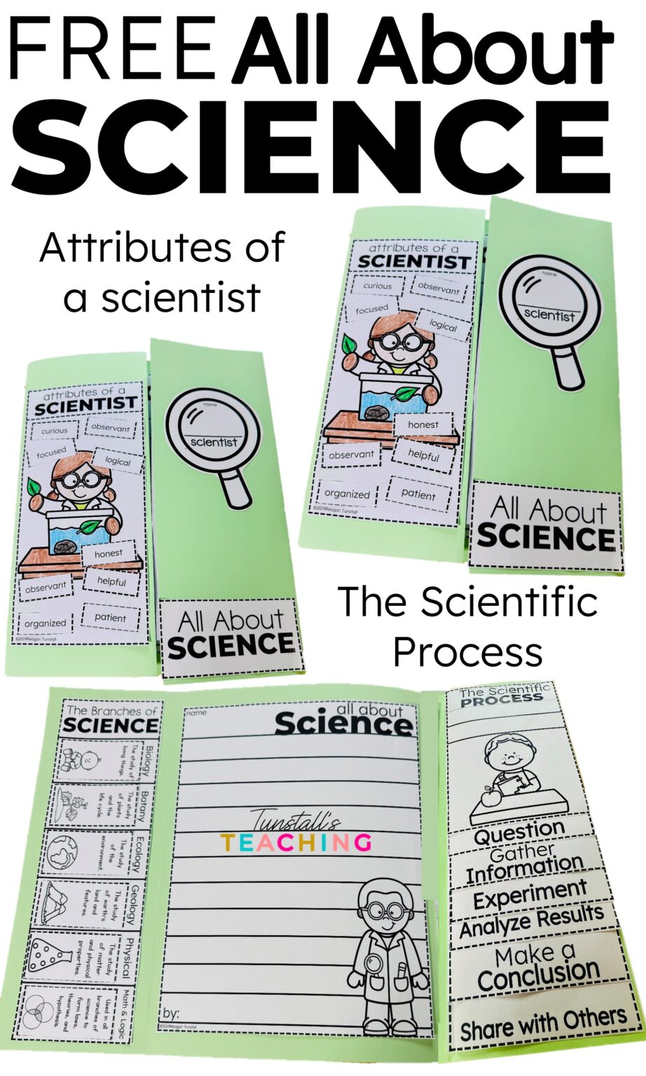 All About Science: Free Scientist Activities for Elementary Students ...