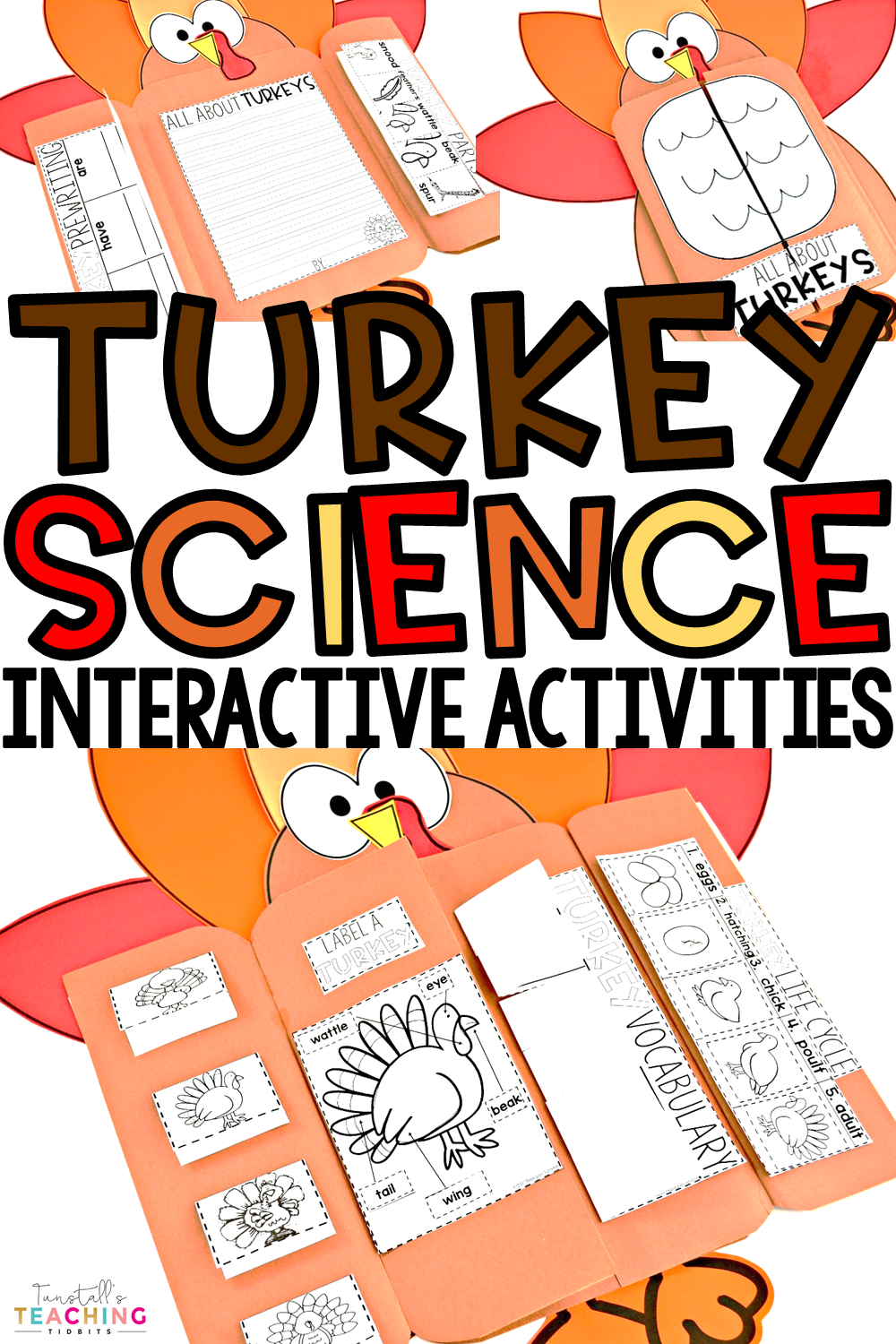 The Science of Turkeys - Tunstall's Teaching
