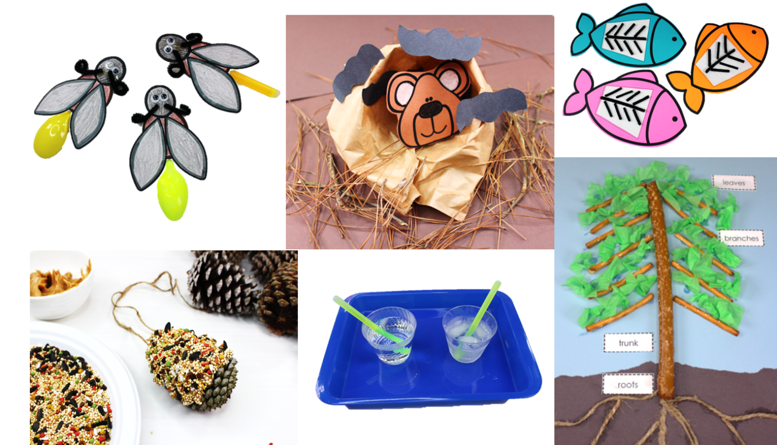 Classroom Campout Week - Tunstall's Teaching