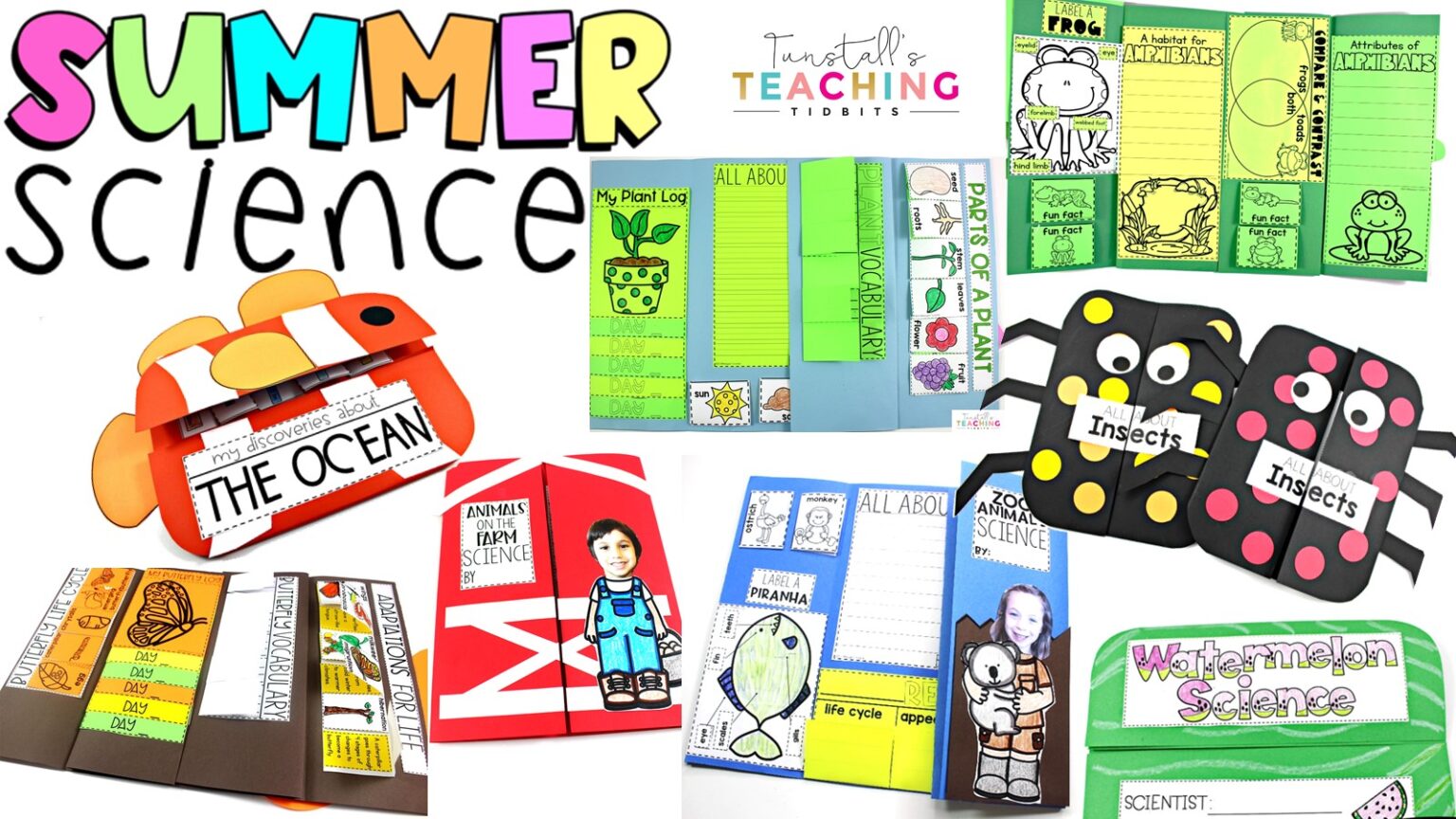 Spring and Summer Science Topics - Tunstall's Teaching