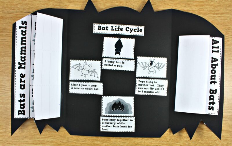 Fall Science Themes - Tunstall's Teaching Tidbits