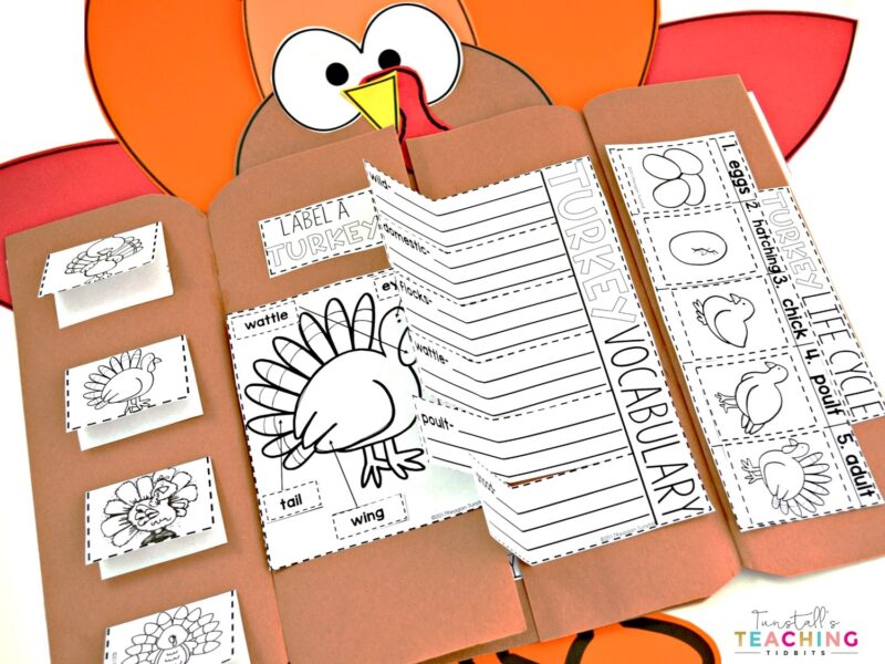 Teaching in November - Tunstall's Teaching