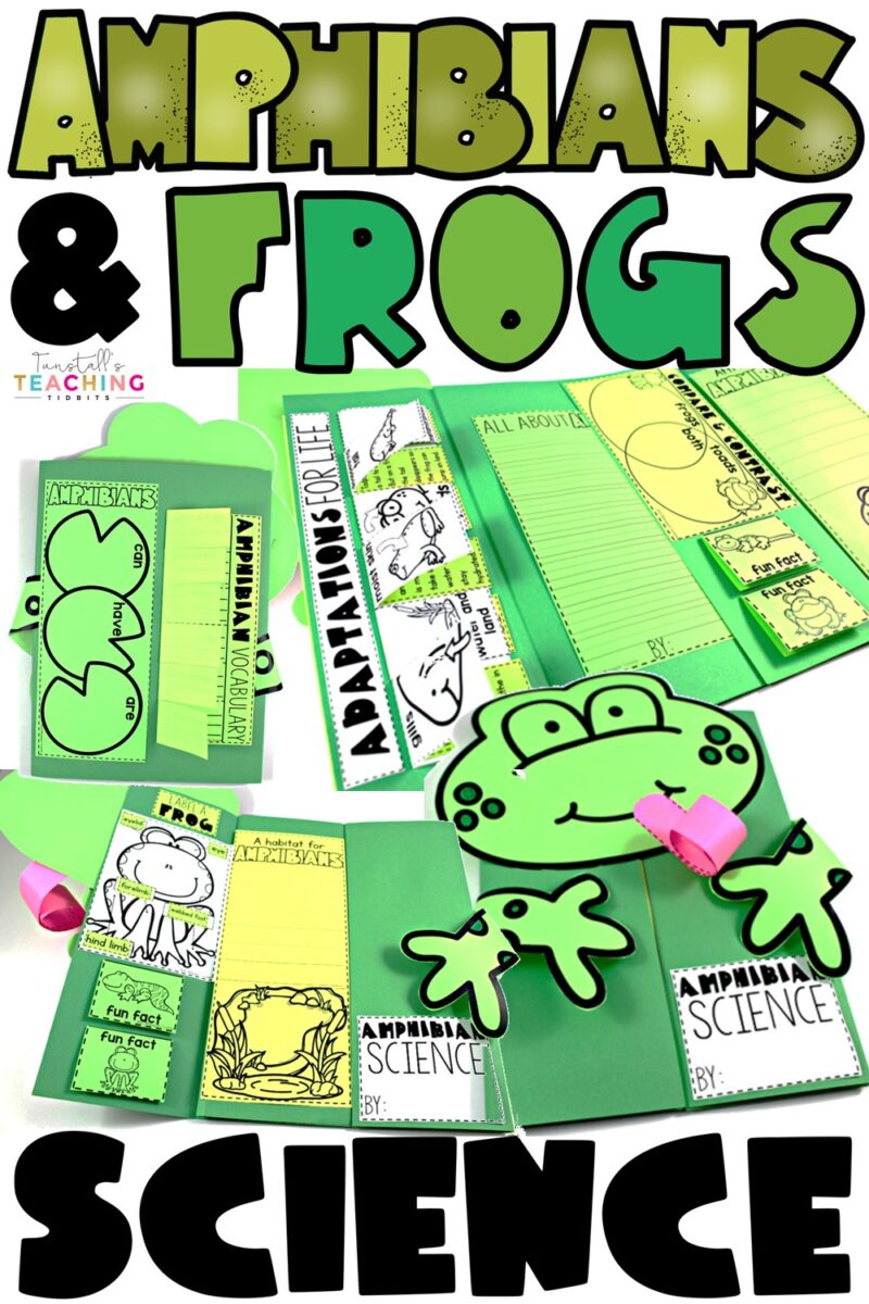 Amphibians and Frogs Science - Tunstall's Teaching