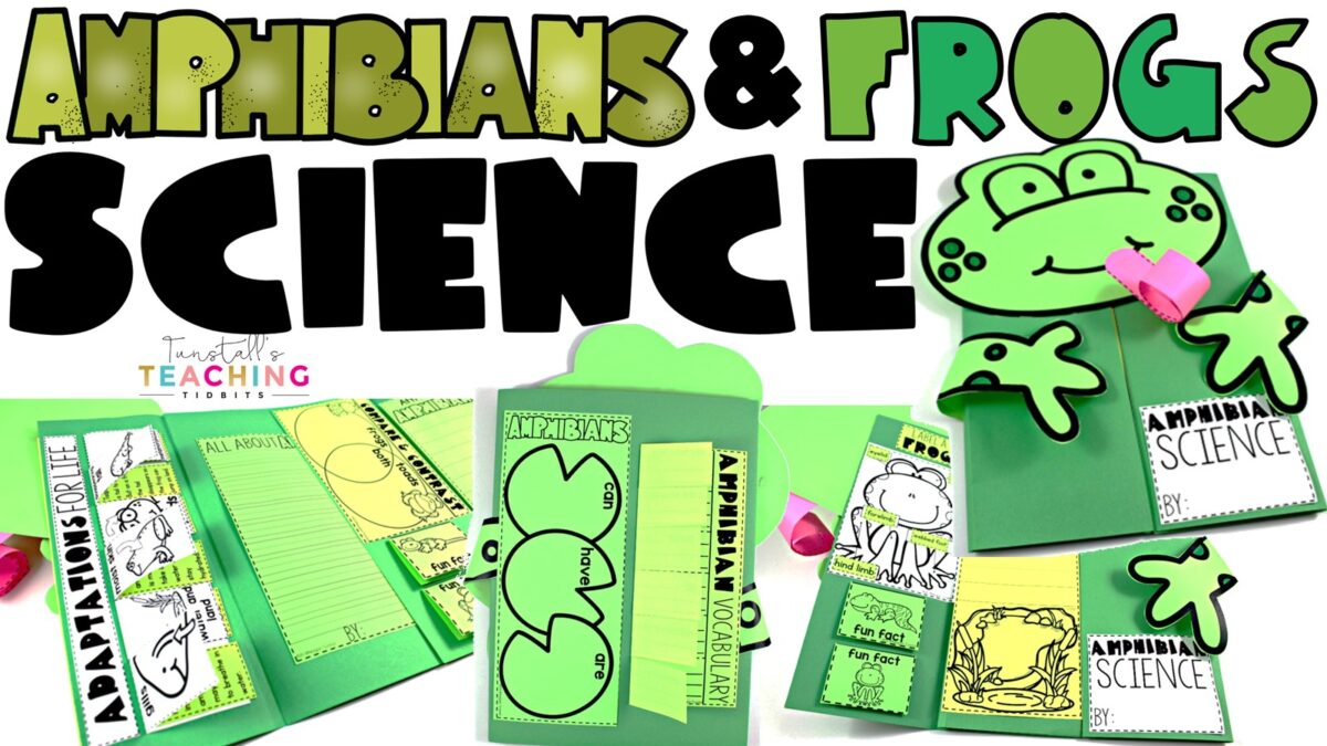 Blog - Tunstall's Teaching Tidbits