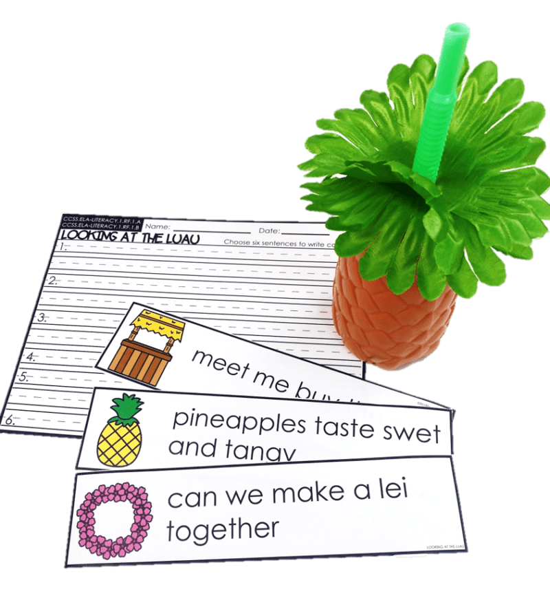 Summer Themed Math + Literacy - Tunstall's Teaching