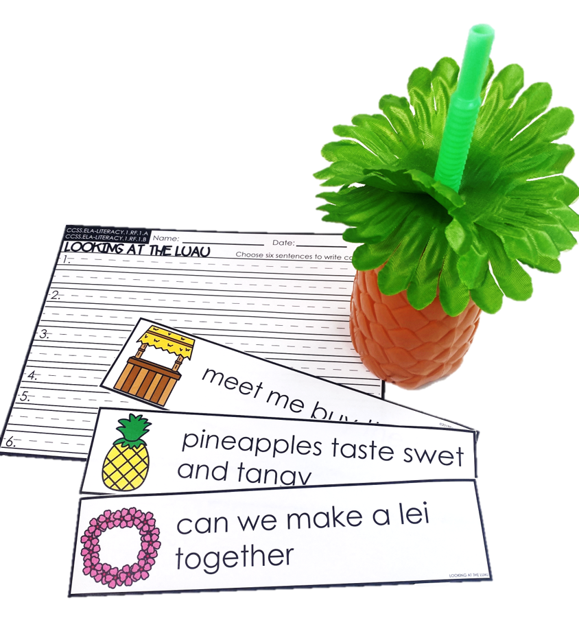 Summer Themed Math + Literacy - Tunstall's Teaching