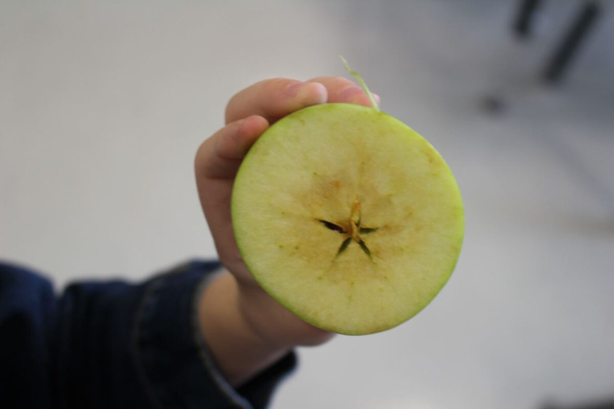 Apple Ideas Across the Curriculum - Tunstall's Teaching