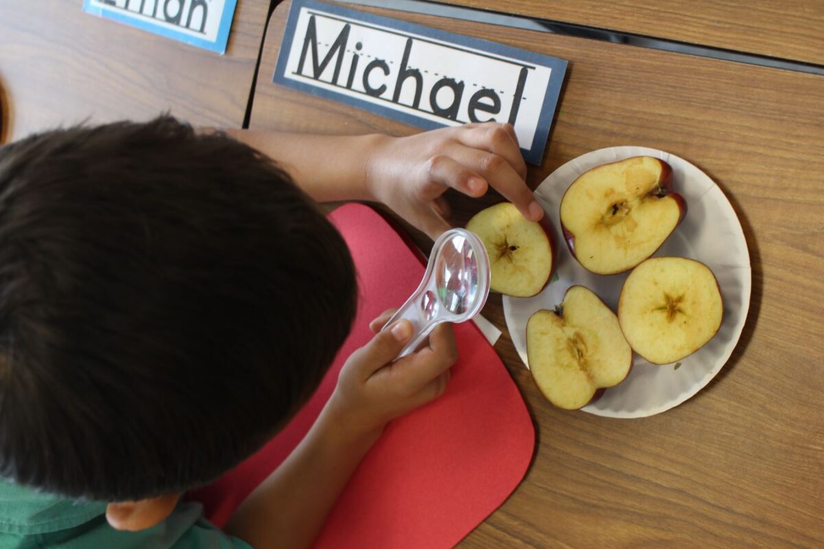 Apple Ideas Across the Curriculum - Tunstall's Teaching