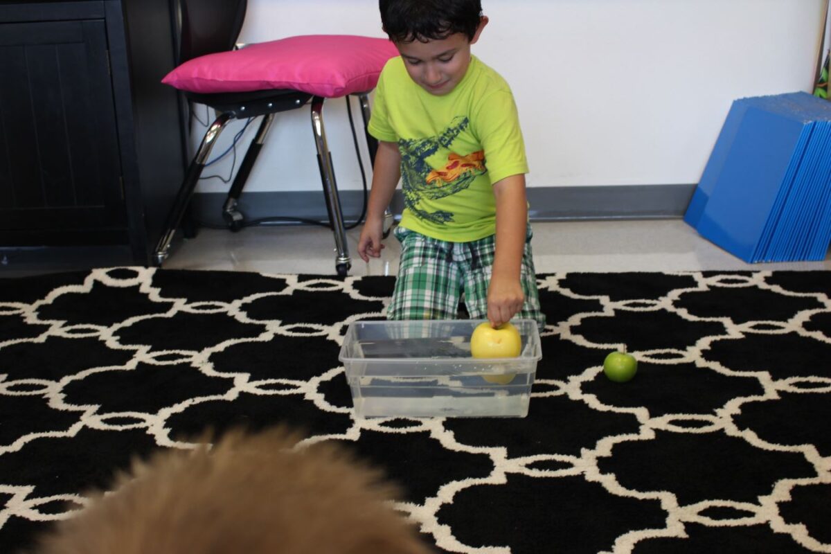 Apple Ideas Across the Curriculum - Tunstall's Teaching