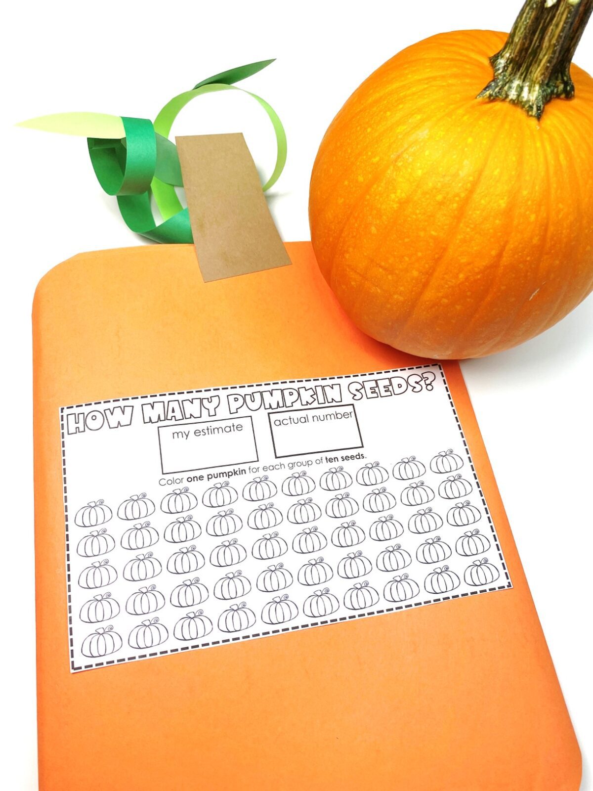 Pumpkin Themed Learning - Tunstall's Teaching