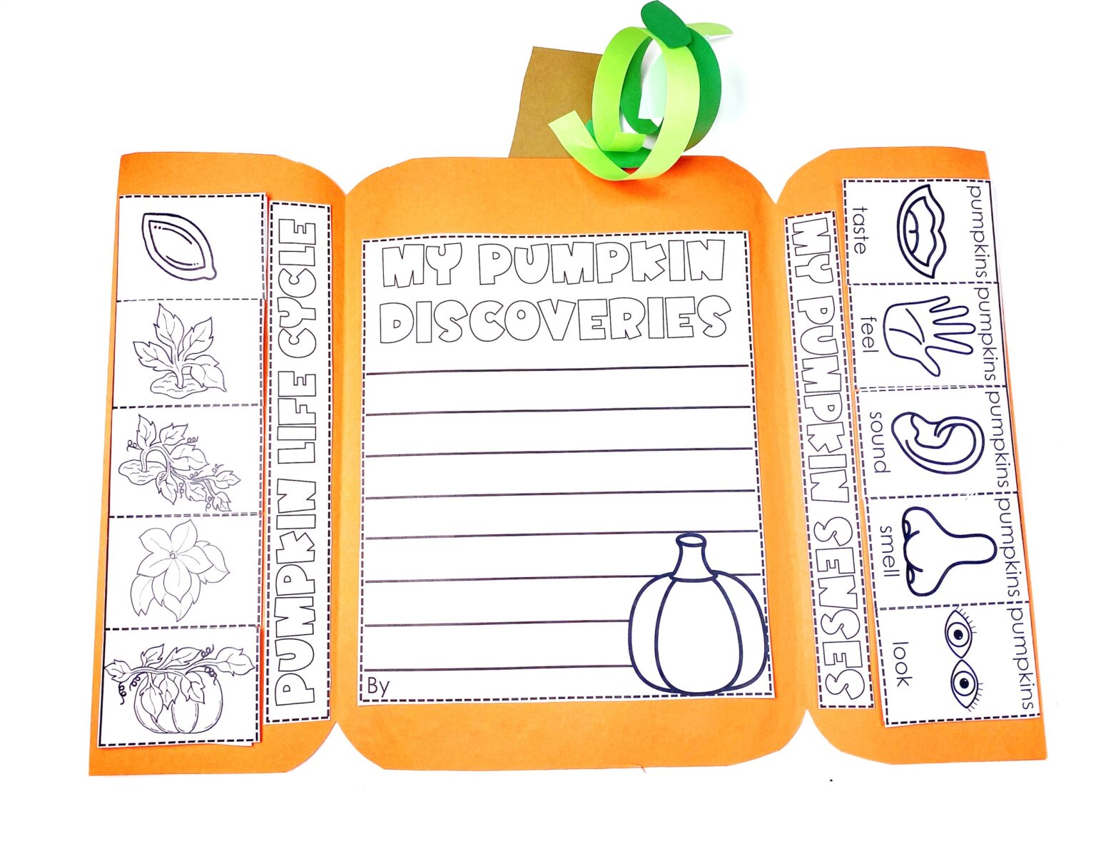 Pumpkin Themed Learning - Tunstall's Teaching